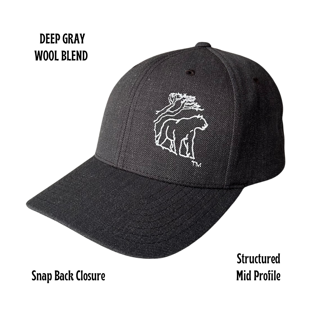 dogsRtreed TRACKING THE LONGWALKER HAT